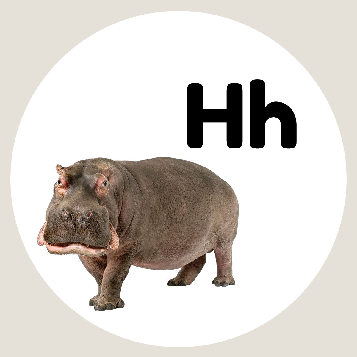 Hh, Jj, Kk, Ll, Mm — Ellii (formerly ESL Library)
